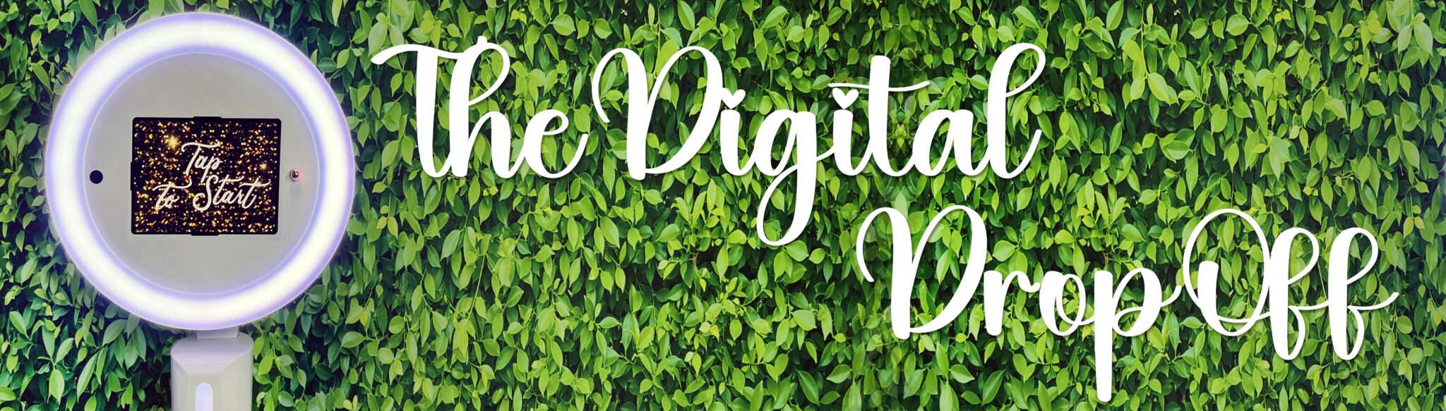 Digi Drop-Off- Beautiful, Luxurious Photos That Will Energize Your ...